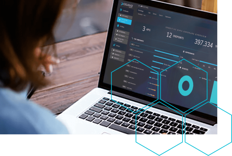 About Us | Cequence Security